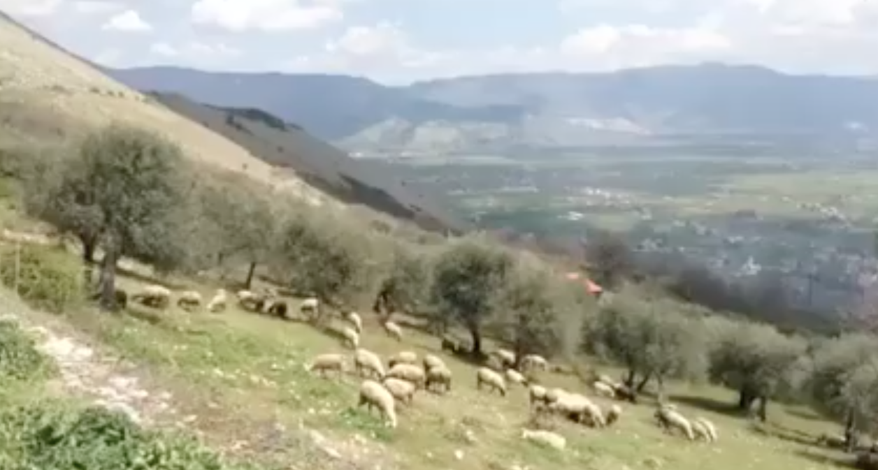 Benedicaria – The Blessing Way of Southern Italian Folk Medicine, Part ...